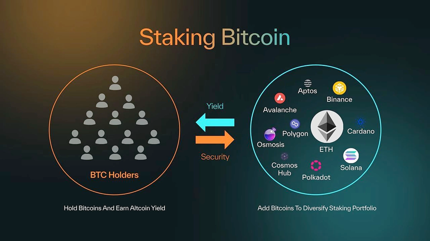 Primer on Bitcoin Staking and Ecosystem