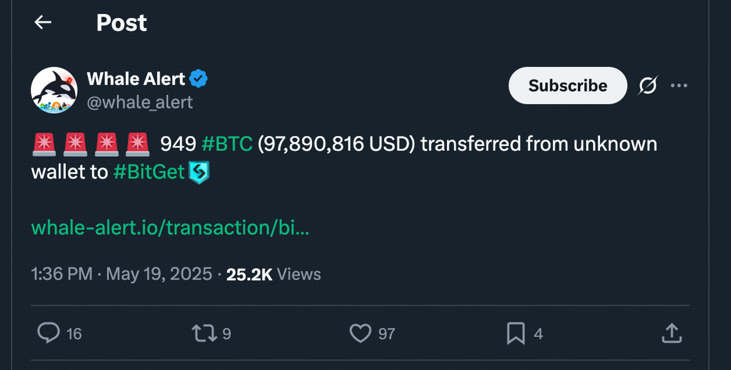 What is a Crypto Whale & How to Track it?