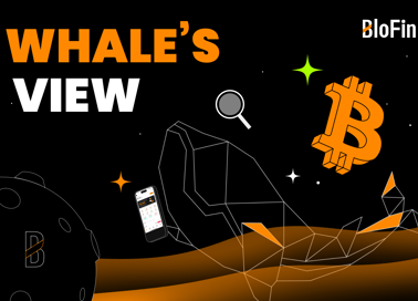 BloFin Academy | BloFin